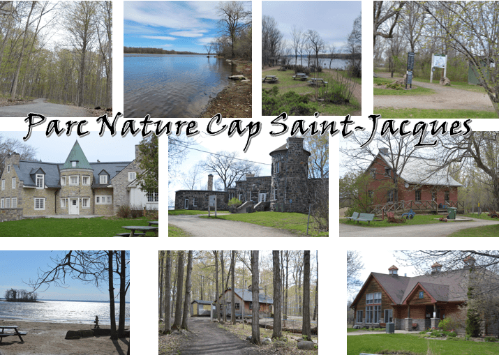 Montreal – Parc-nature Cap Saint-Jacques – Simple Travel and Recreation