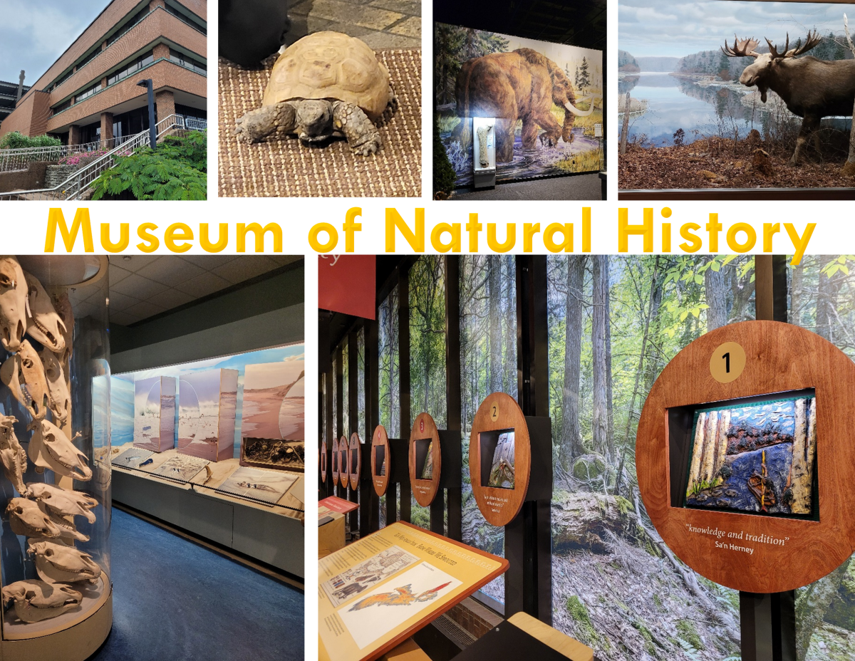 Halifax – Museum of Natural History – Simple Travel and Recreation