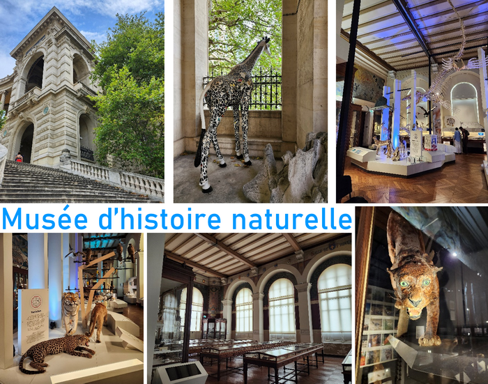 Marseille – Natural History Museum – Simple Travel and Recreation